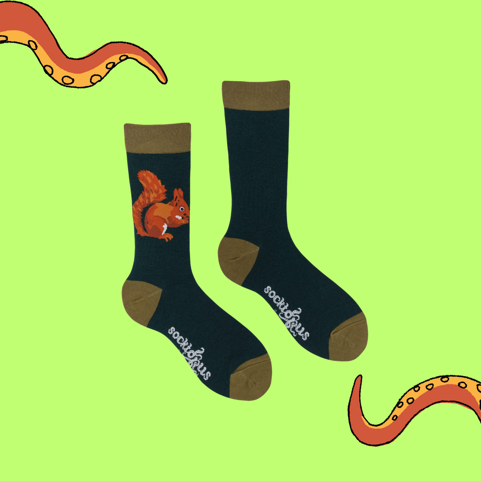 Squirrel Socks - Socktopus X Robert E Fuller