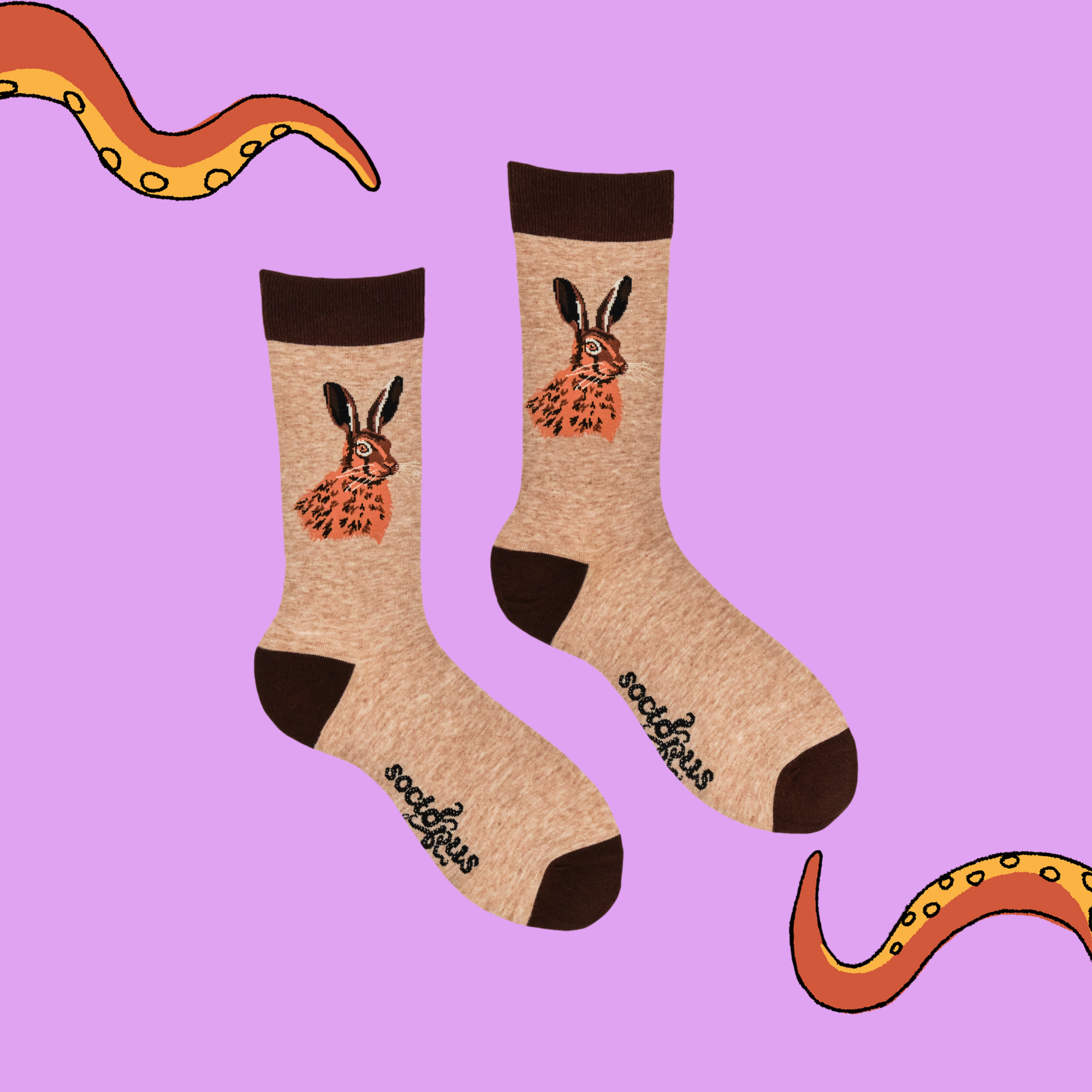 Hare Socks - Socktopus X Robert E. Fuller