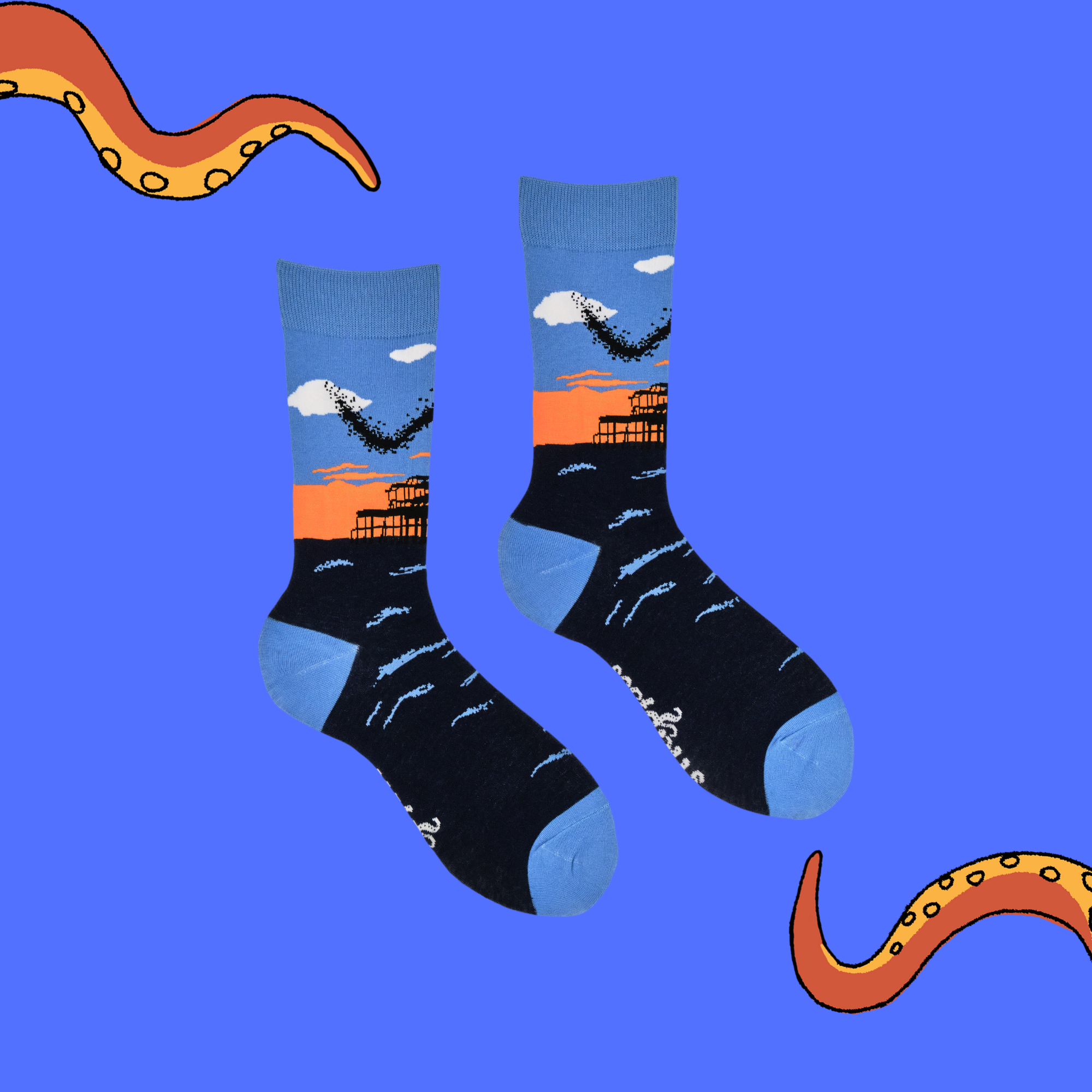 Murmurations Socks - Together Co Collaboration – Socktopus