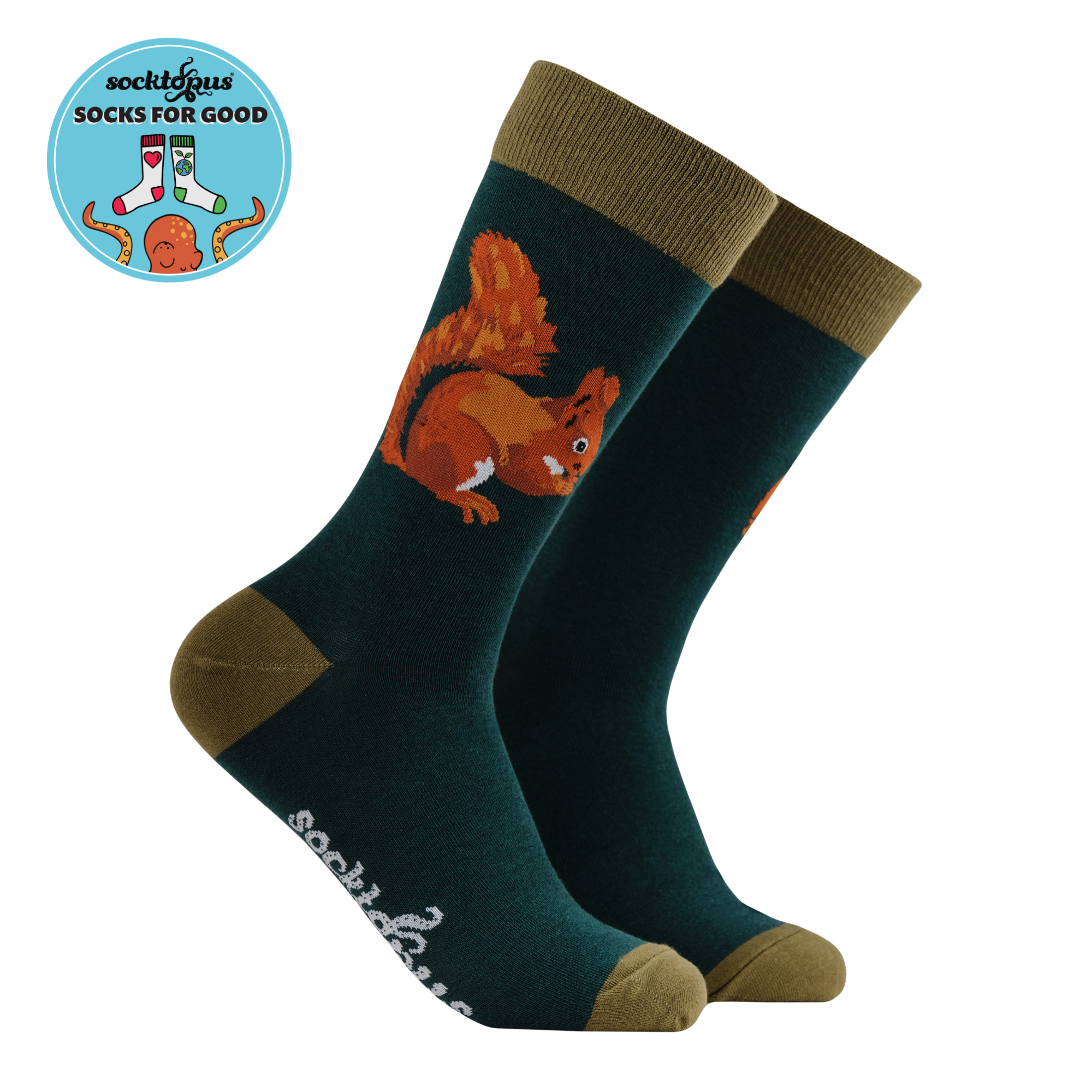 Squirrel Socks - Socktopus X Robert E Fuller
