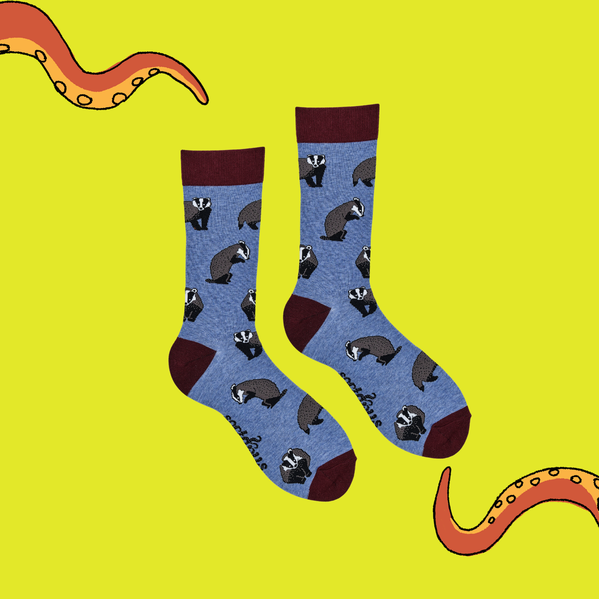 Badger Socks - Too Badger Getting Socks - Soctopus – Socktopus