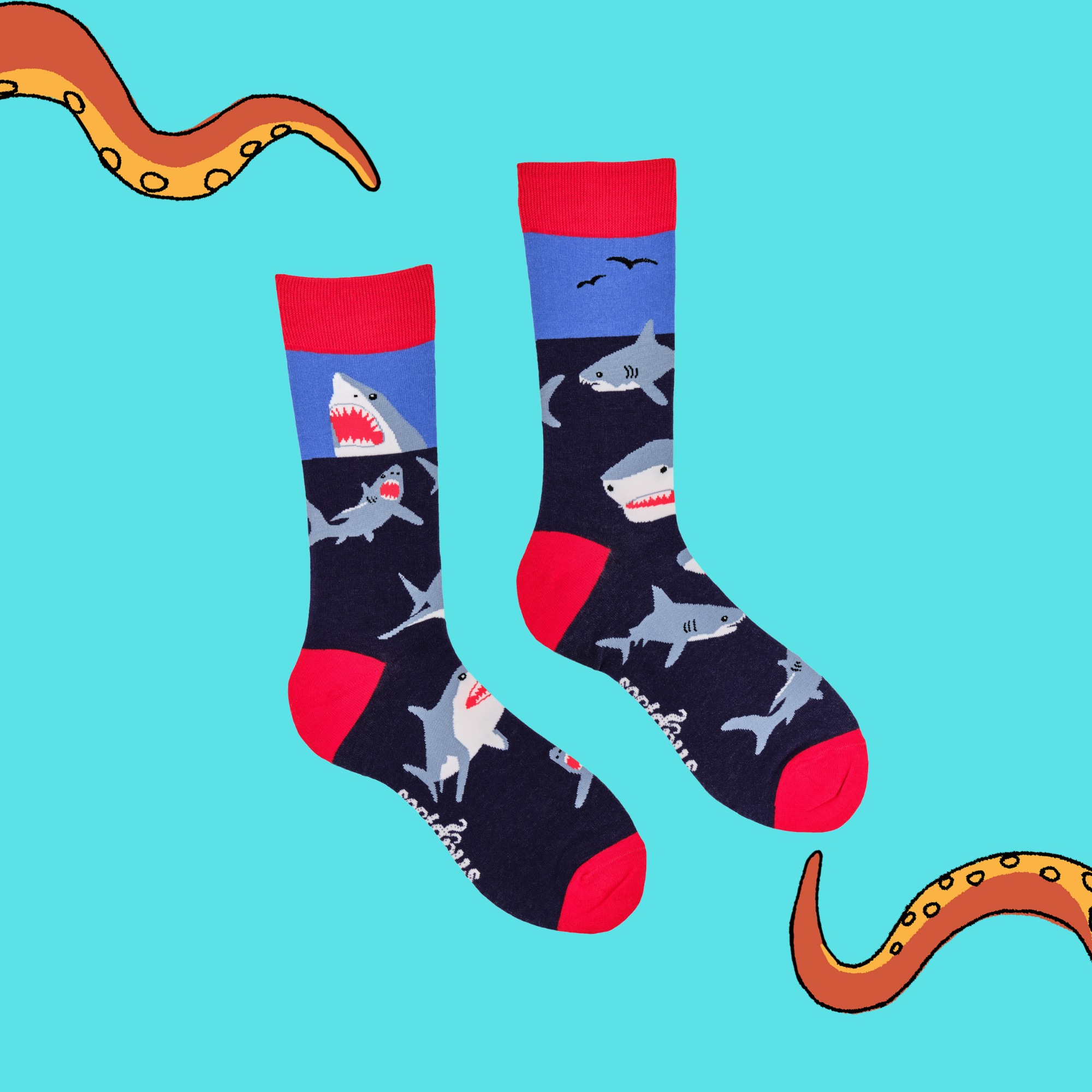 Shark Socks - Jaws And Effect - Socktopus
