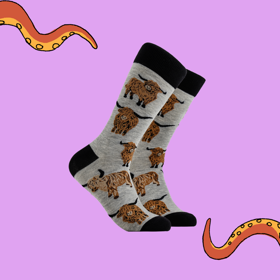 Socktopus - We Sell Socks - Socks for Everyone