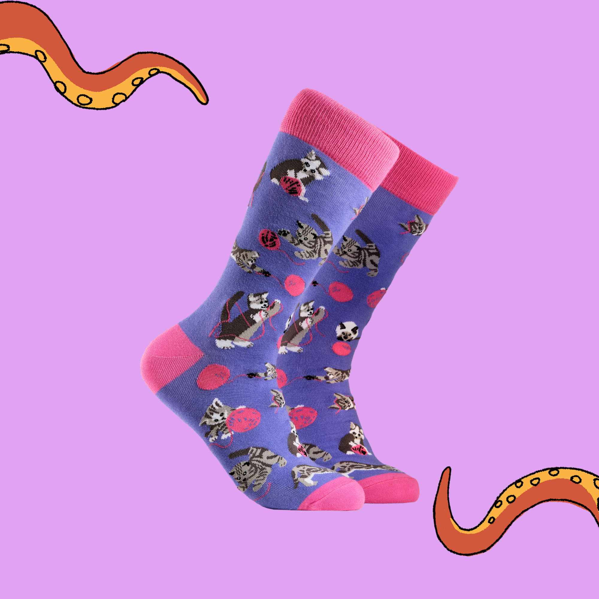Cats and Wool Socks - Socktopus