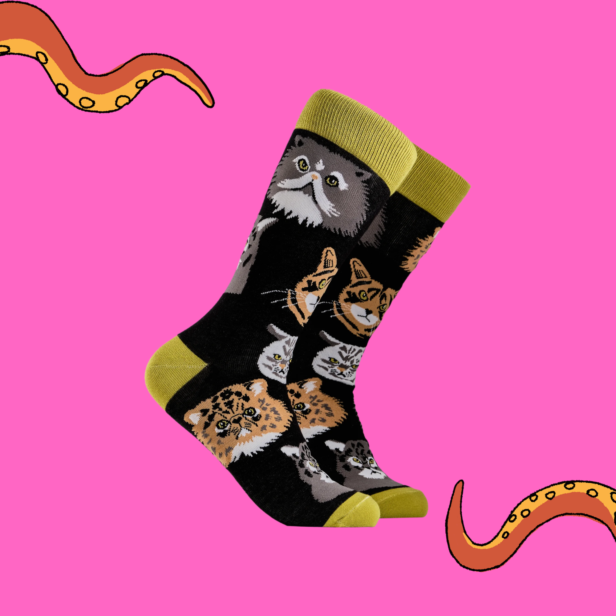 Grumpy Cats Socks - Socktopus