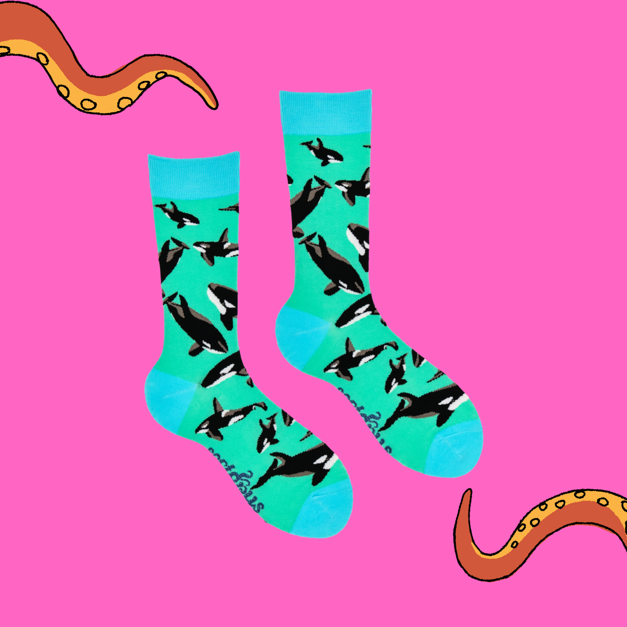 Orca Pod Socks - Socktopus