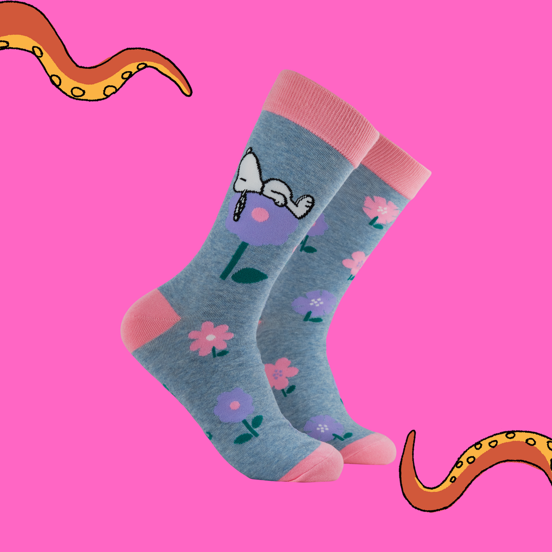 Products – Socktopus