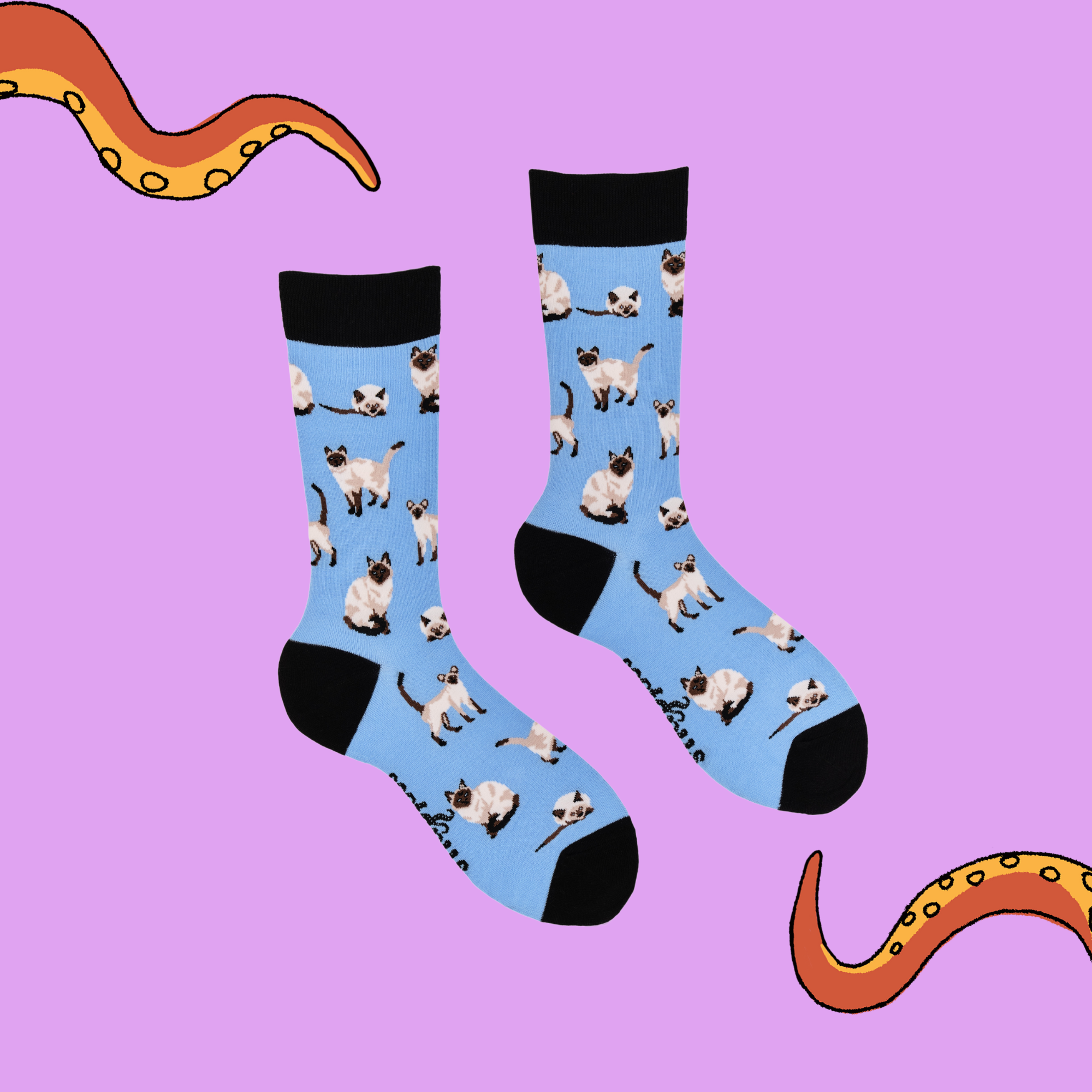 Siamese Cat Socks - Socktopus
