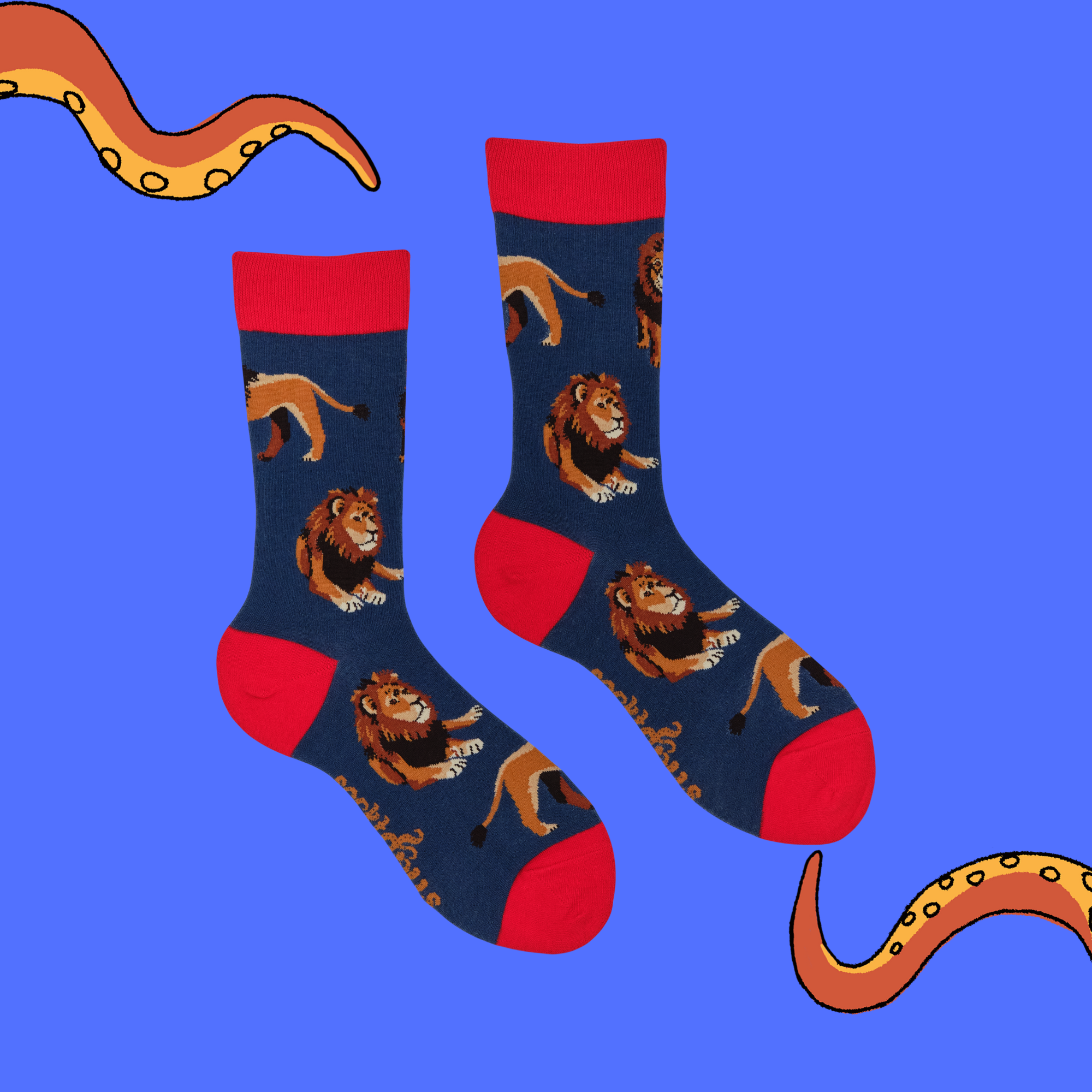 Lion Socks - Pride Of Place – Socktopus