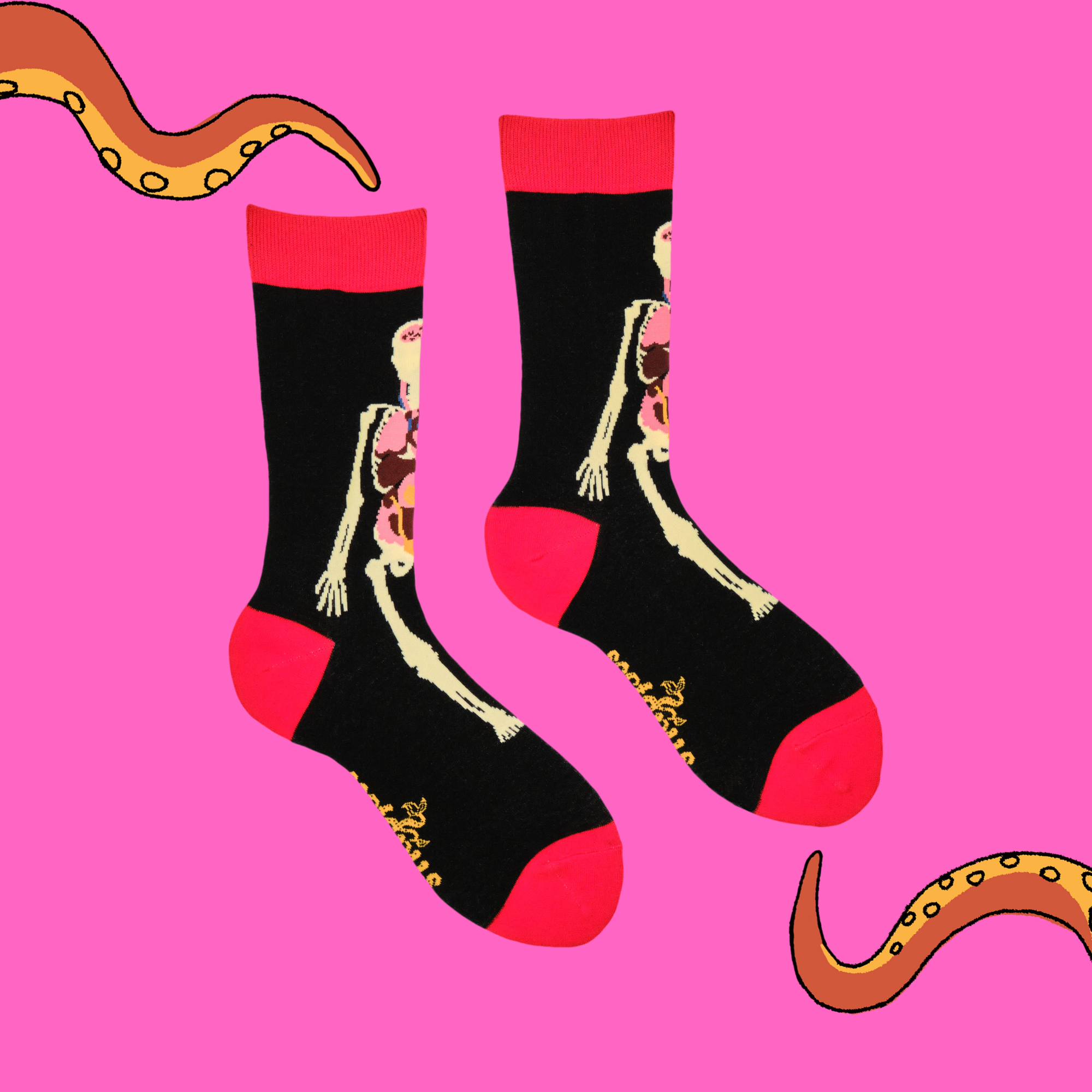 Anatomy Bamboo Socks - Socktopus - Free Shipping over £10