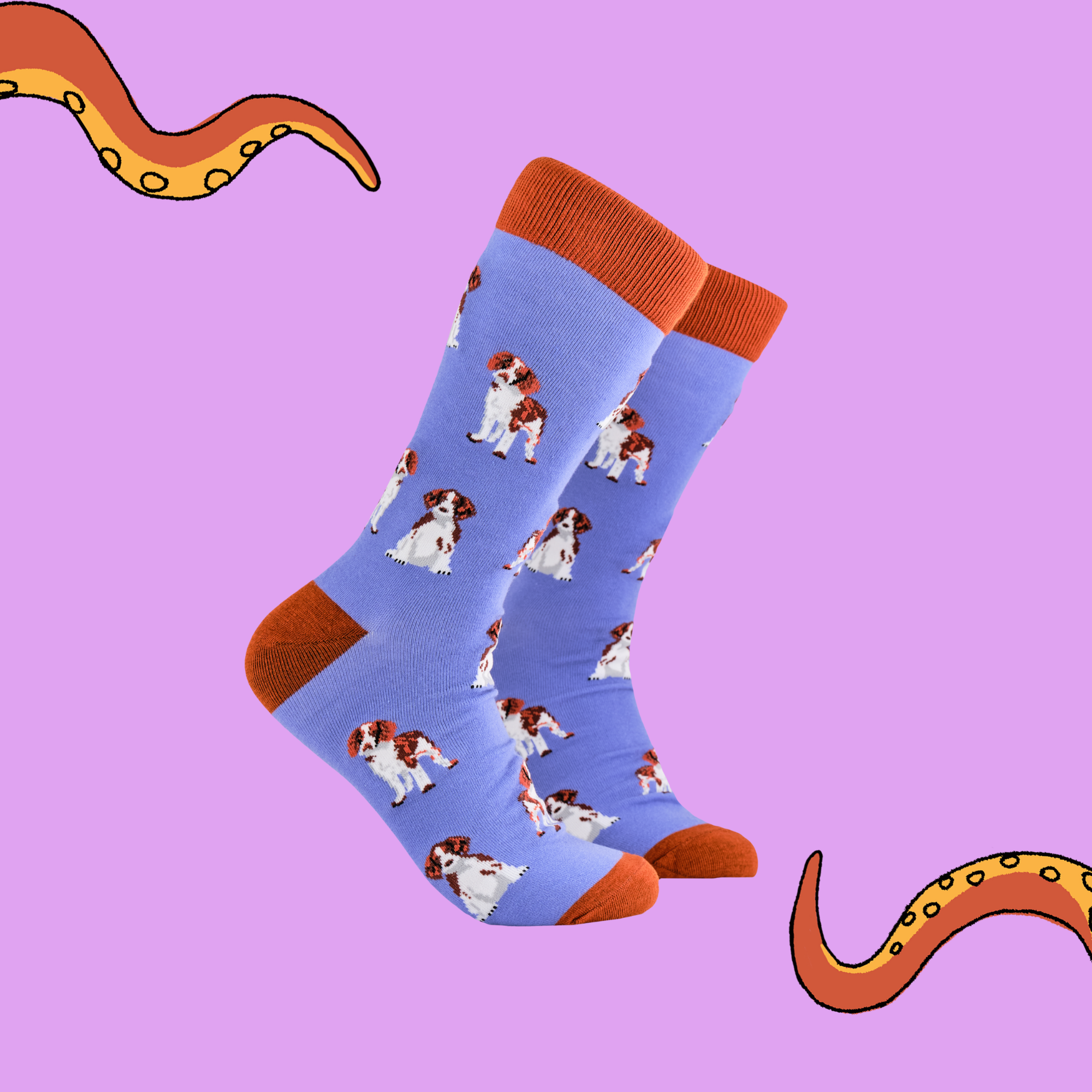 Spaniel Socks - Socktopus