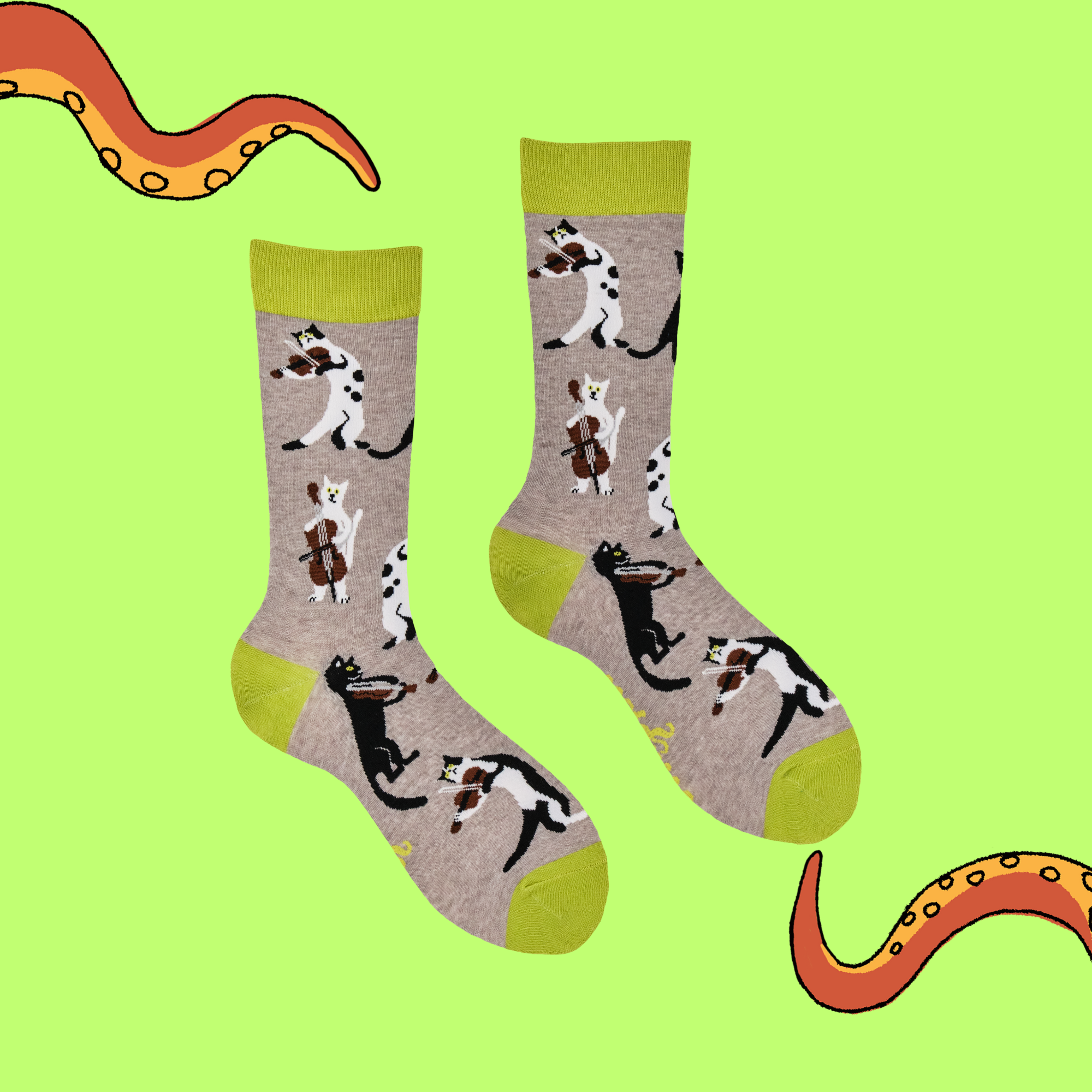 Cat Socks - String Quartet - Socktopus - 3 Pairs for £20