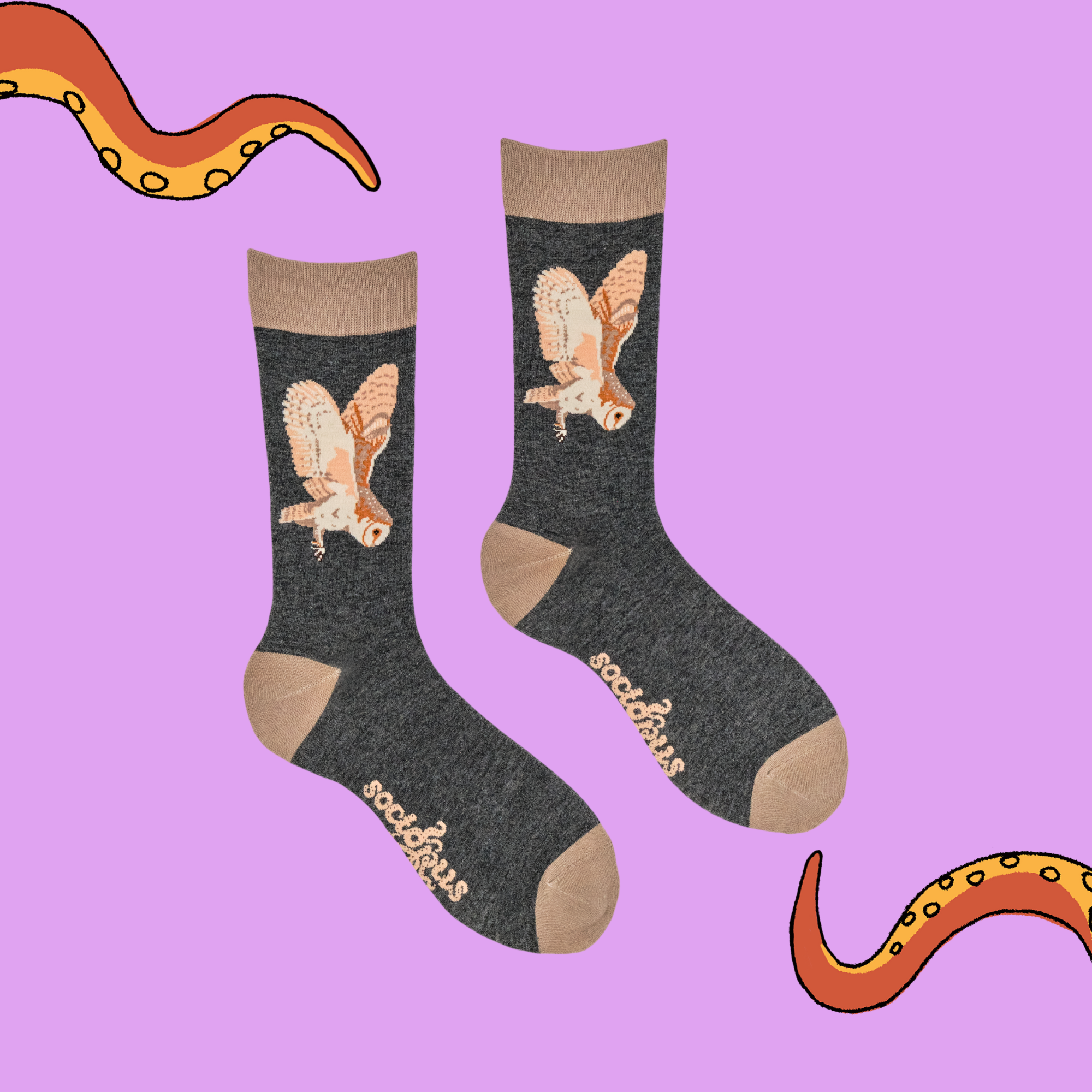 Owl Socks - Barn Owl on Silent Wings – Socktopus