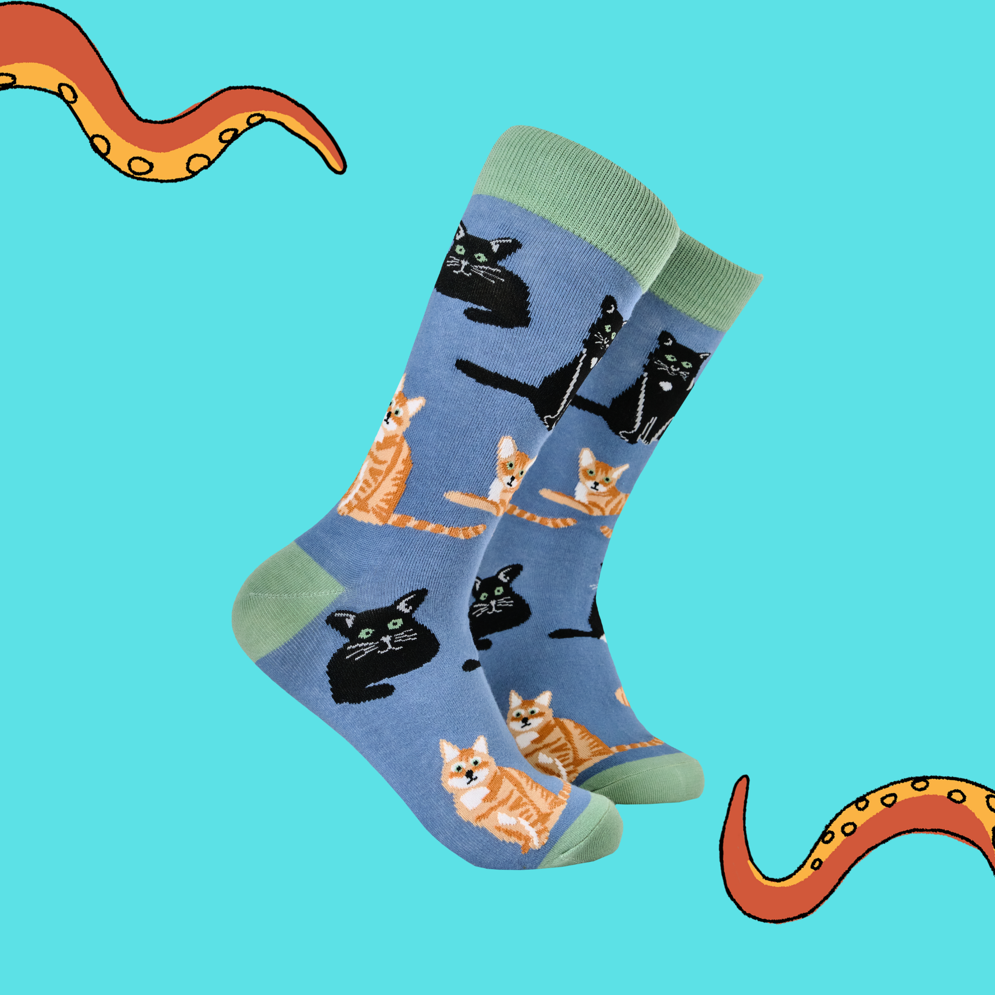Cat Lover Socks - Socktopus