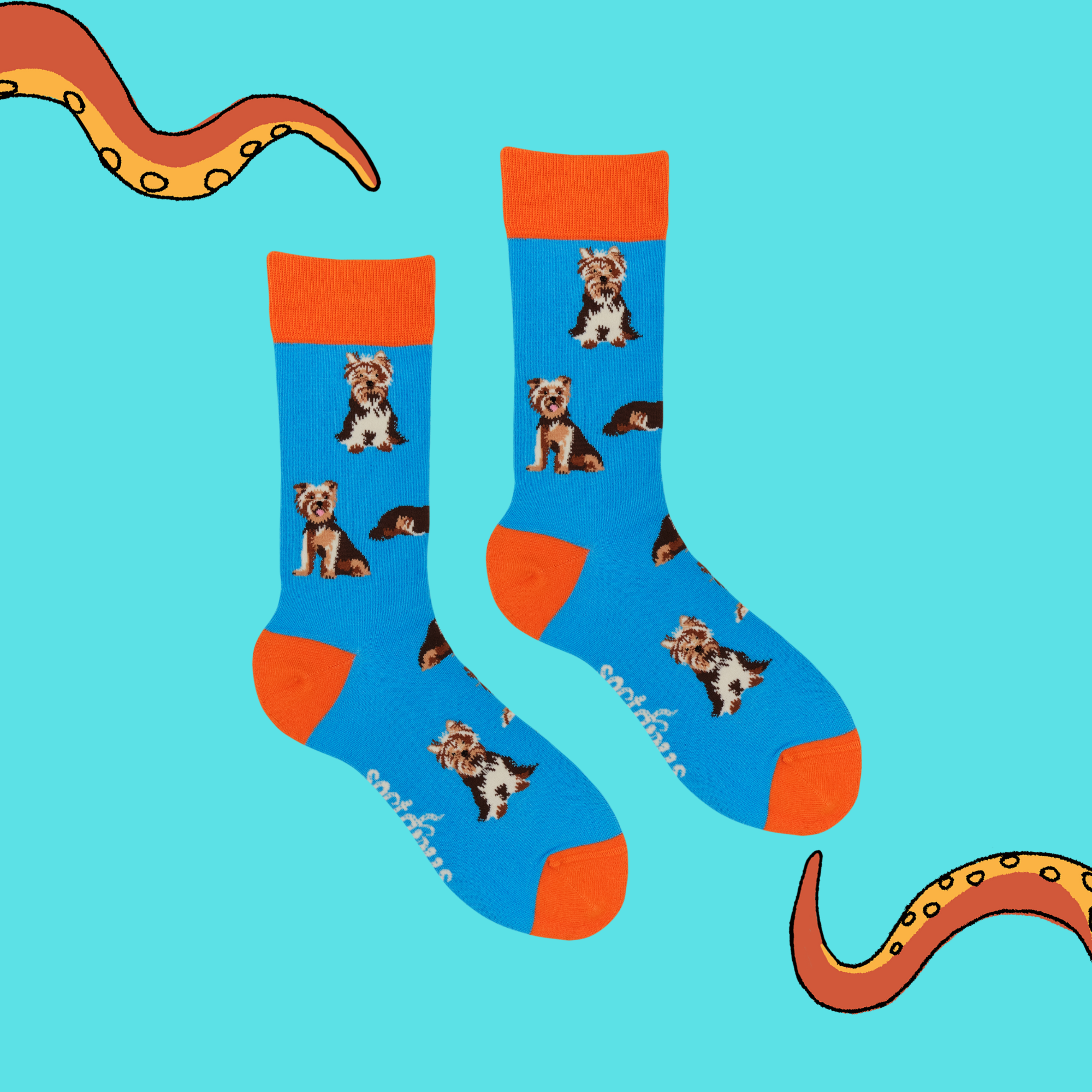 Yorkshire Terrier Socks - Yorkies - Socktopus