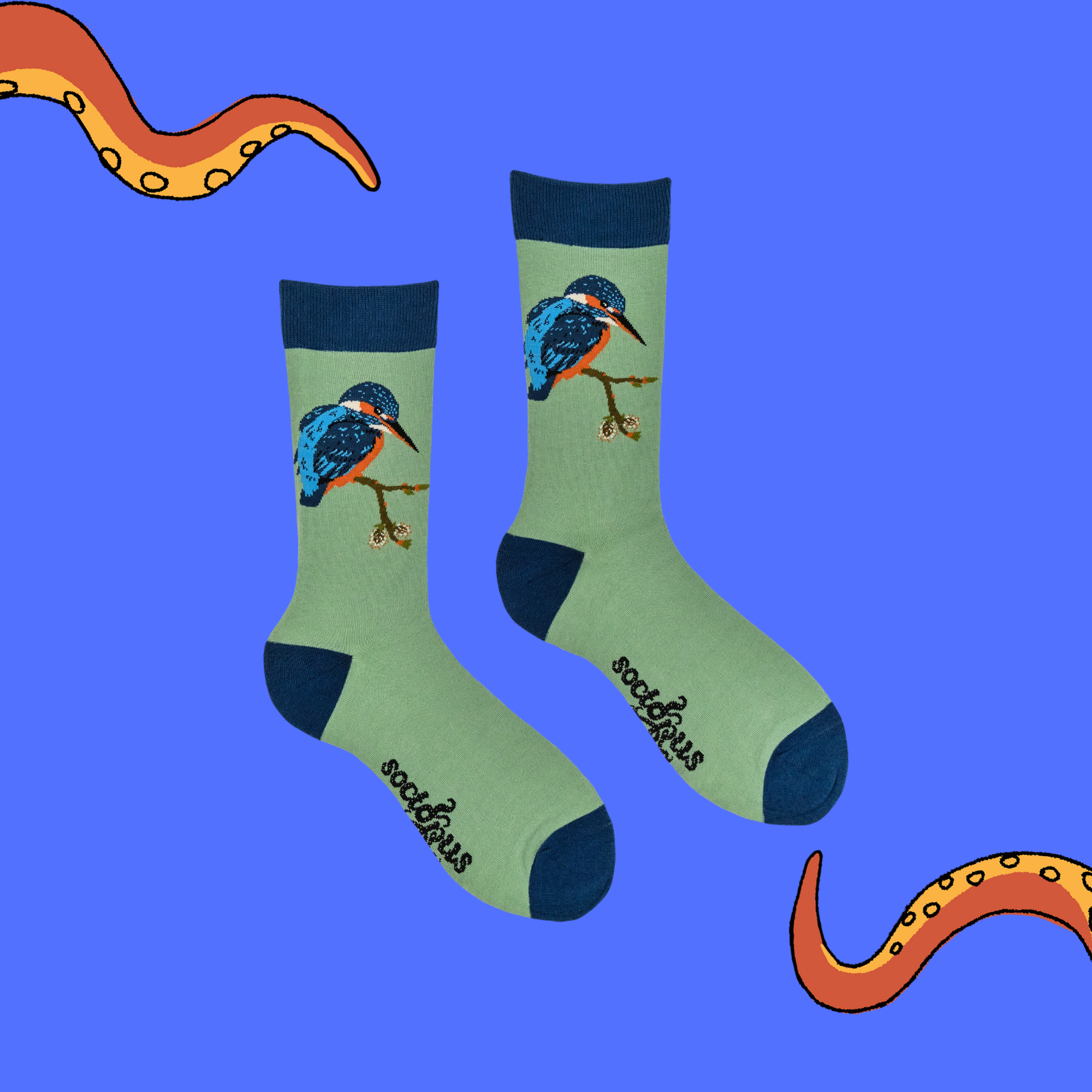 Bird Socks - Socktopus X Robert Fuller