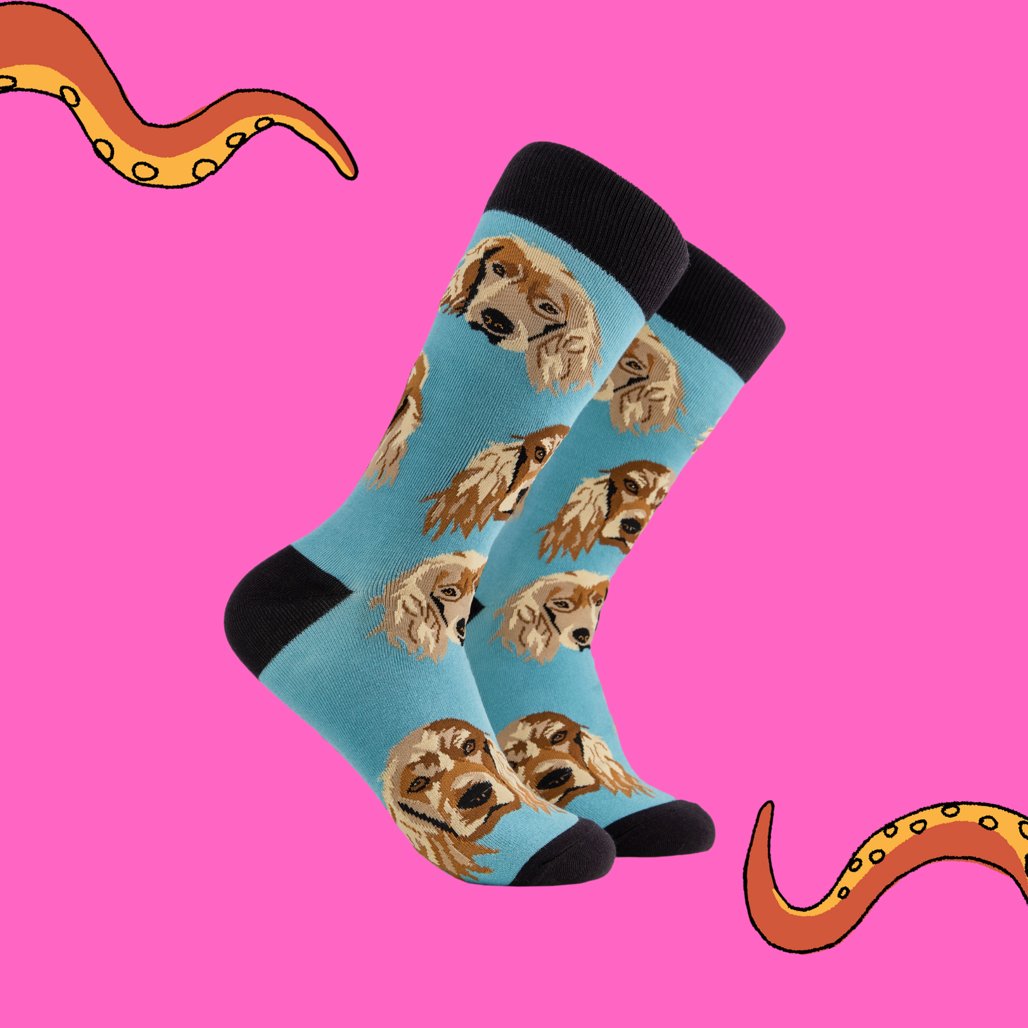 Cocker Spaniel Socks - Socktopus