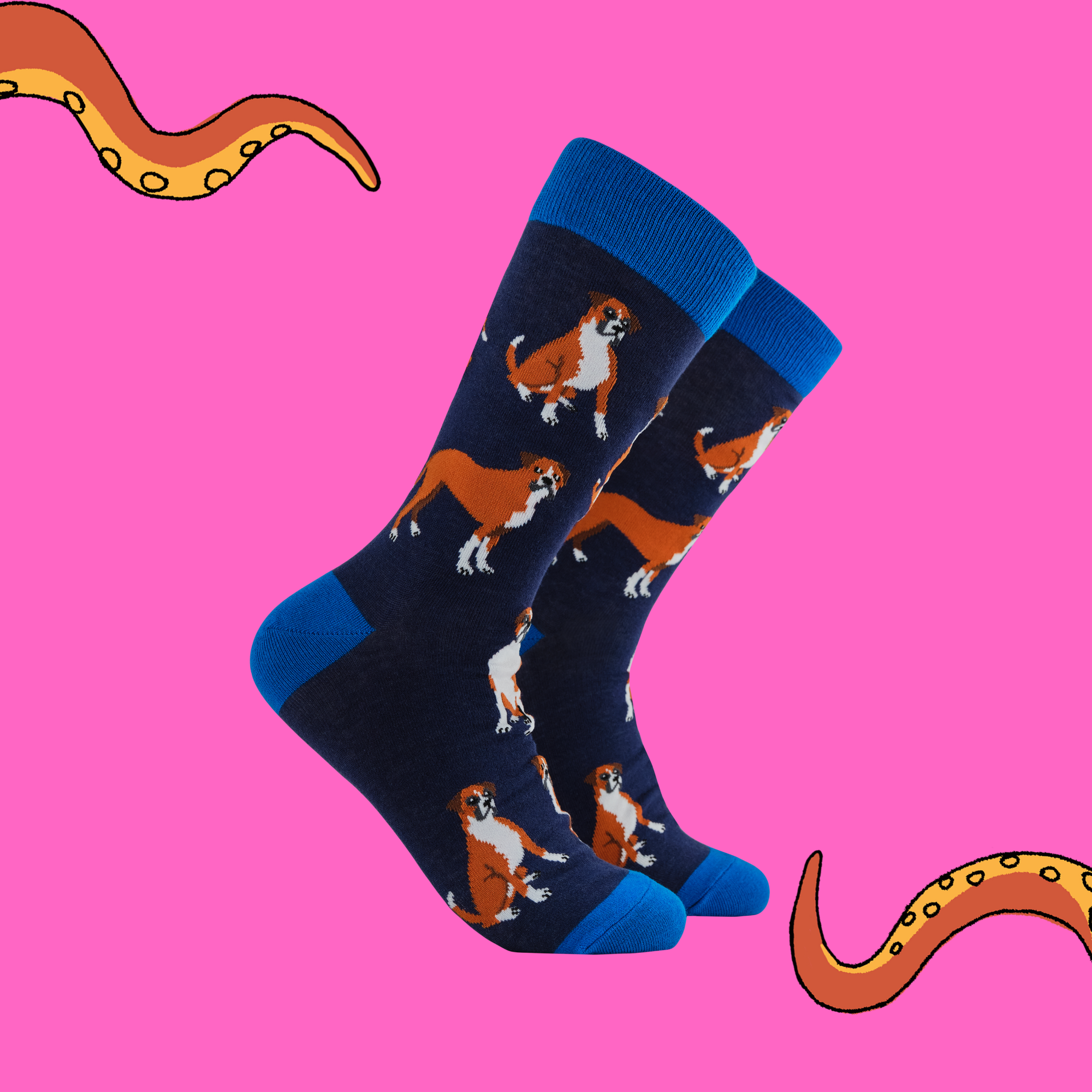Boxer Socks - Soxer – Socktopus