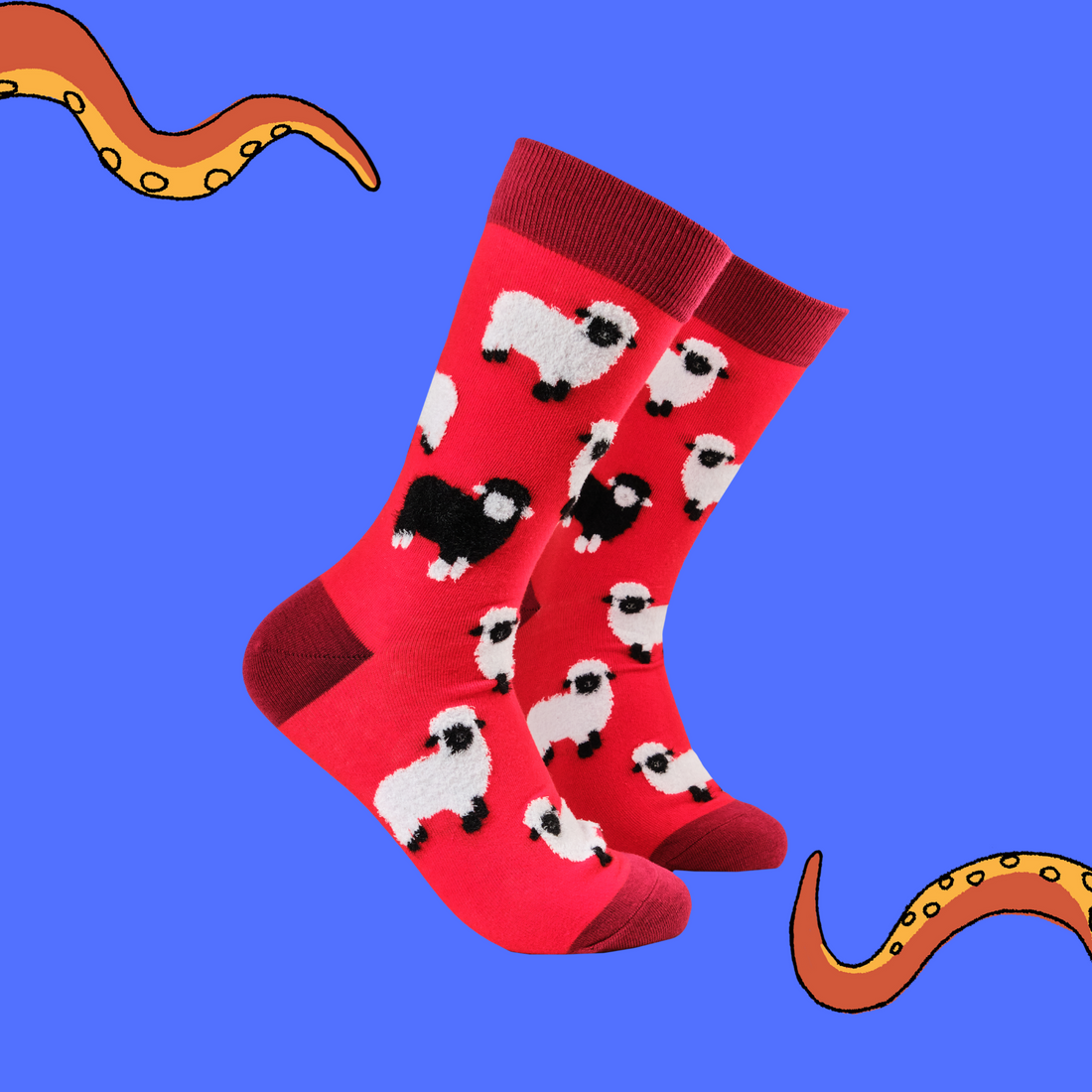 Socktopus - We Sell Socks - Socks for Everyone