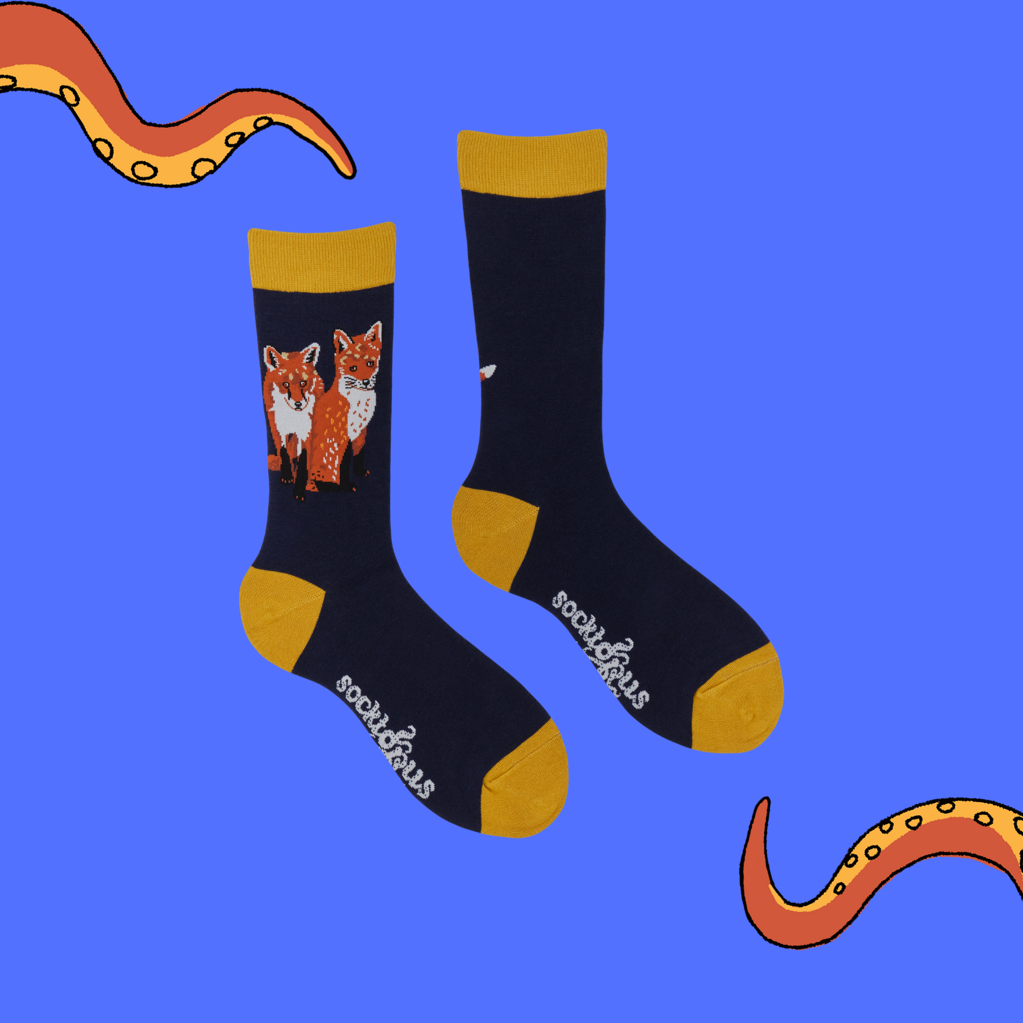 Fox Cubs Socks - Socktopus X Robert E Fuller