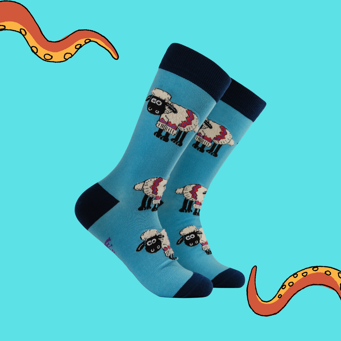 Socktopus - We Sell Socks - Socks for Everyone