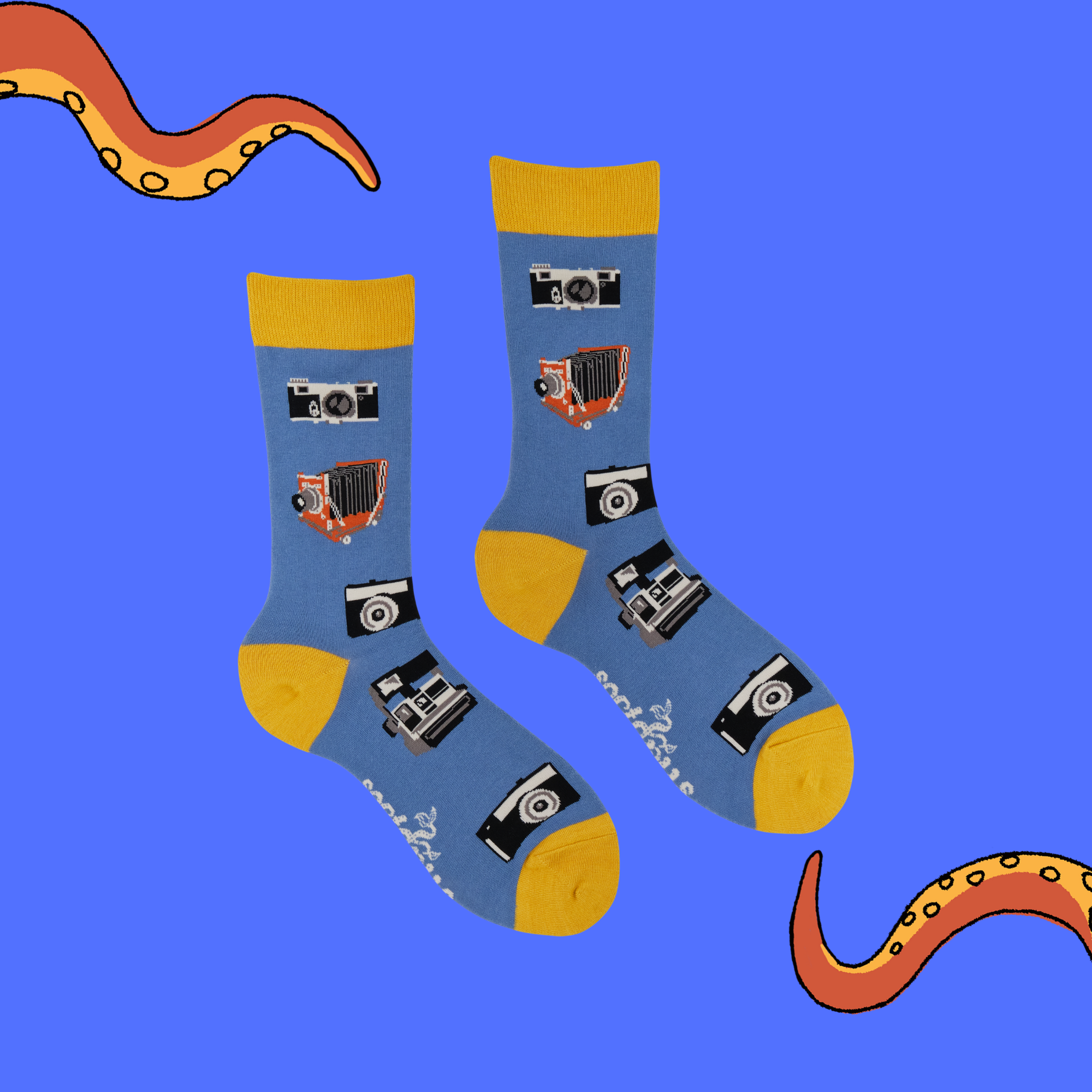 Photography Bamboo Socks - Socktography - Socktopus
