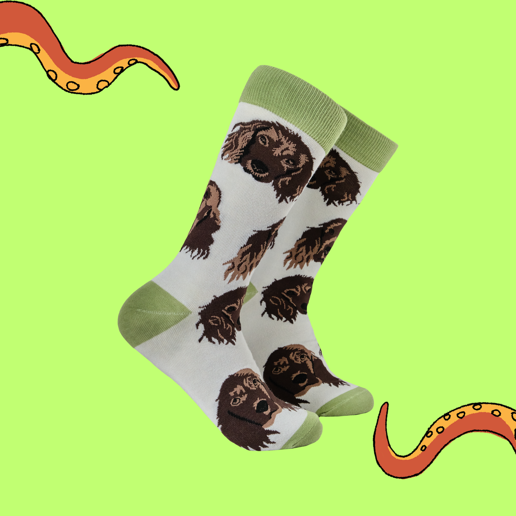 Cocker Spaniel Socks - Socktopus