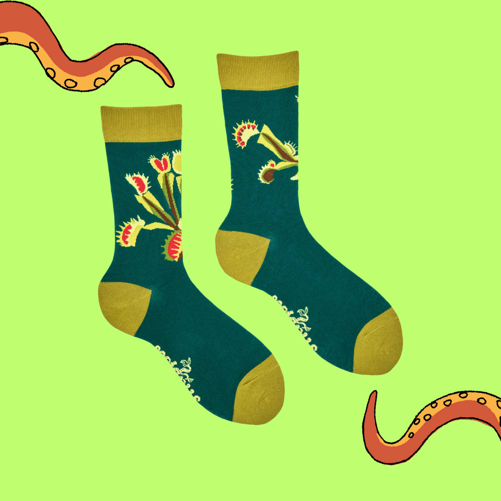 Venus Fly Trap Bamboo Socks - Socktopus - Free Shipping over £10