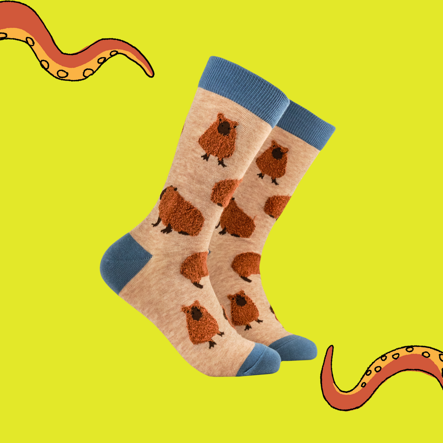 Capybara Fluffies Socks - Socktopus - Free Shipping over £10