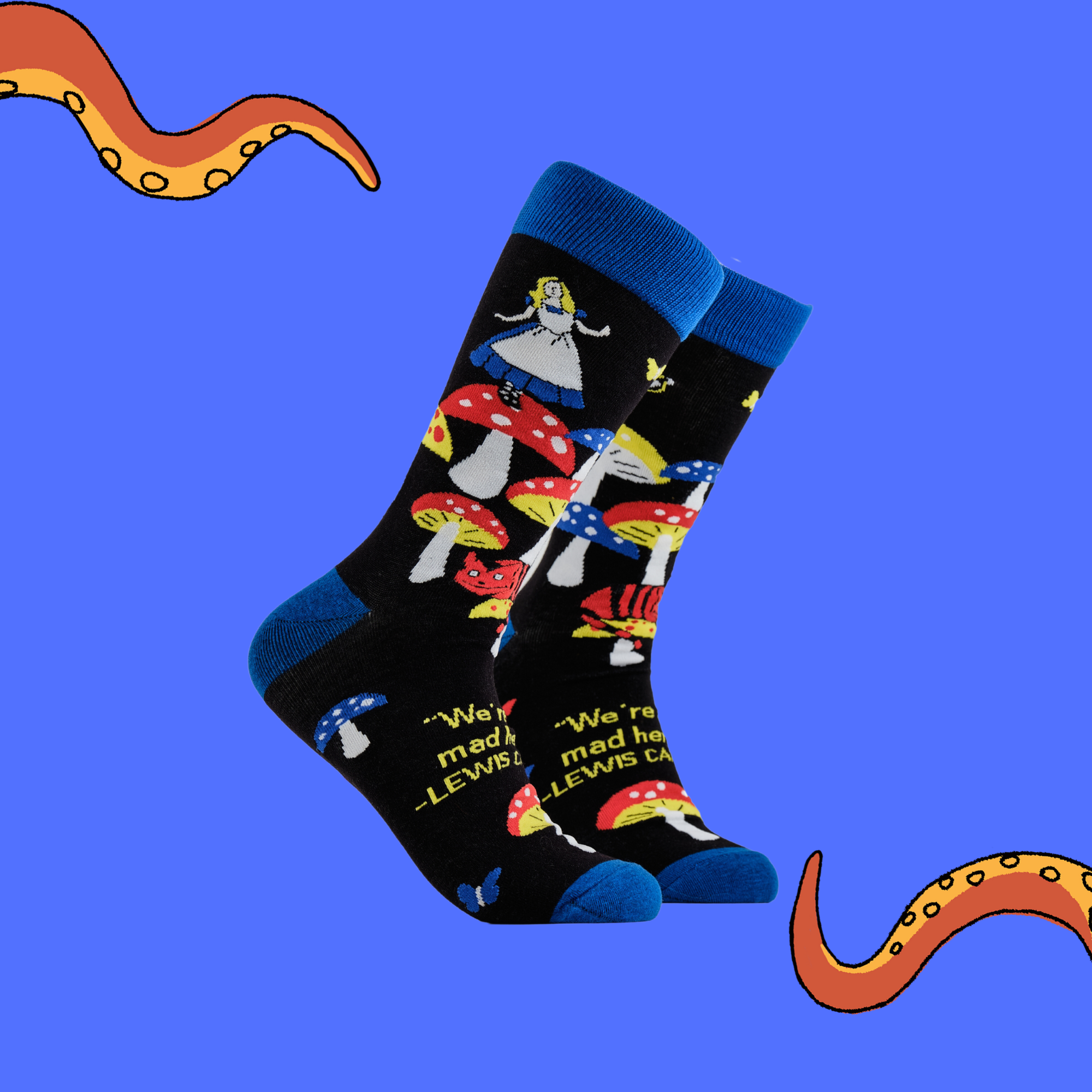 Alice in Wonderland Socks - Where's Wonder Land? - Socktopus