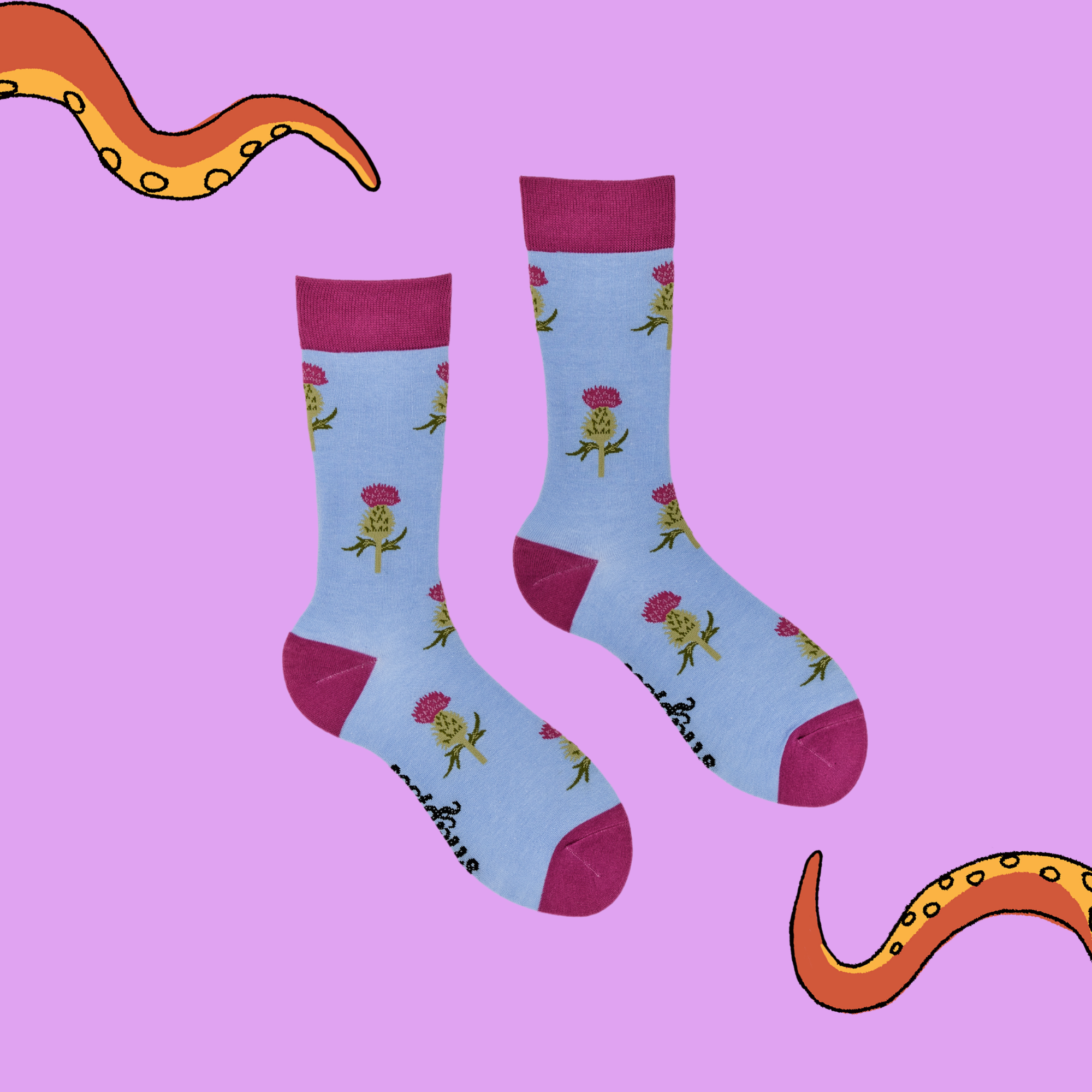 Scottish Socks - Thistles - Socktopus