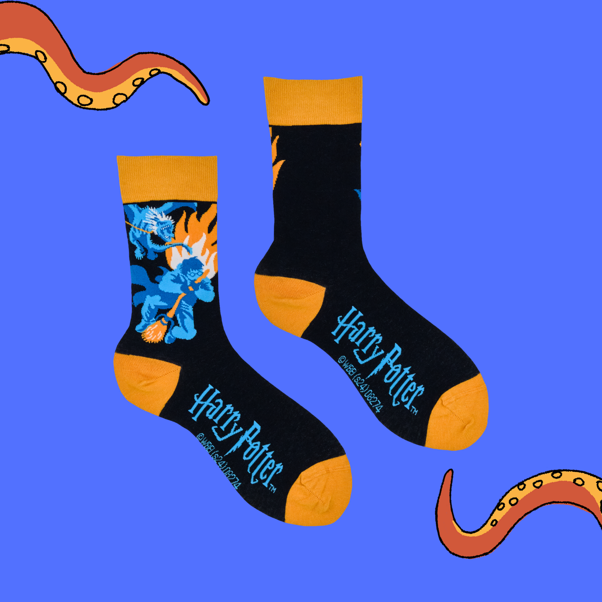 Harry Potter Socks - Dragon Flight - 3 Pairs for £20 – Socktopus