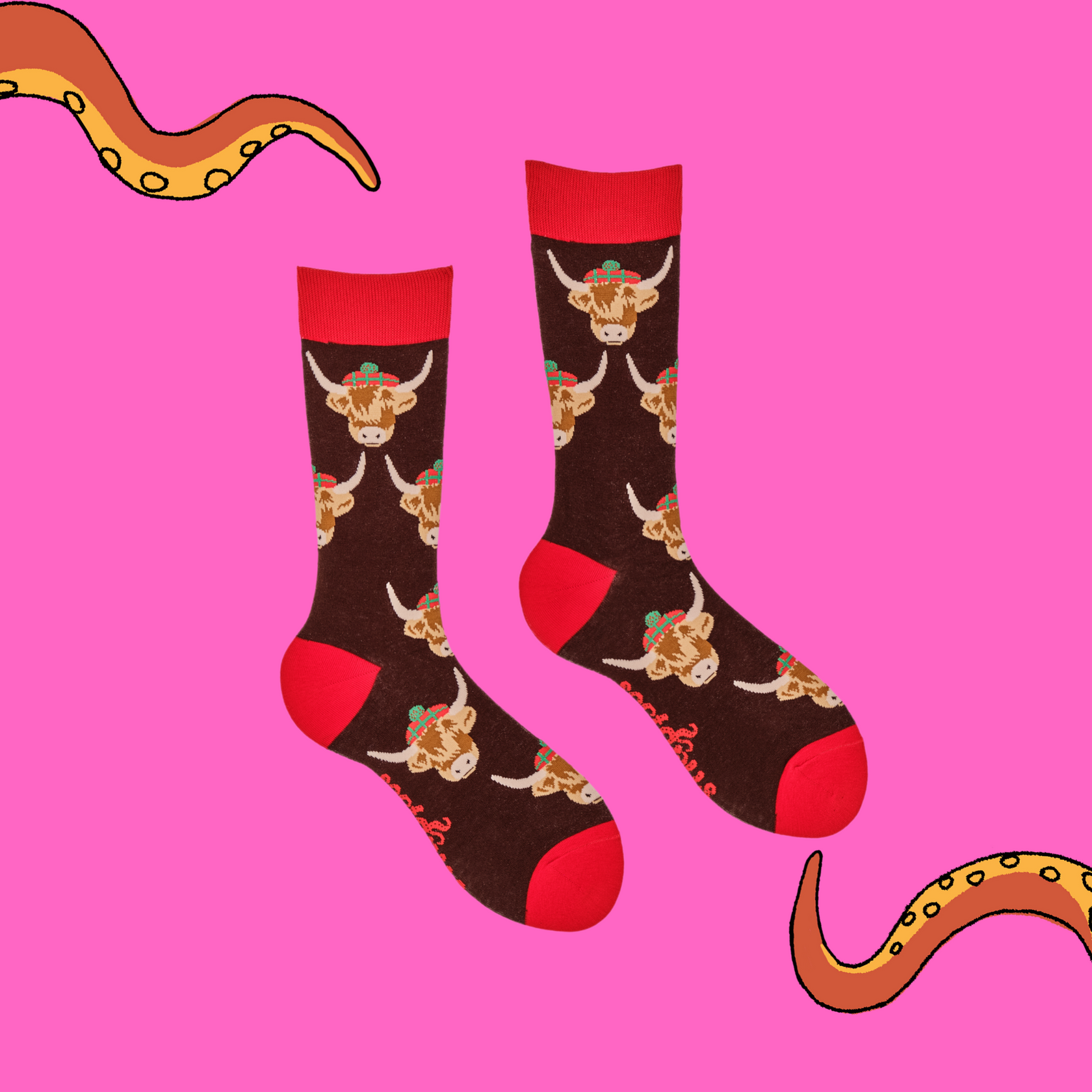 Highland Cow Socks - Scottish Socks - Socktopus