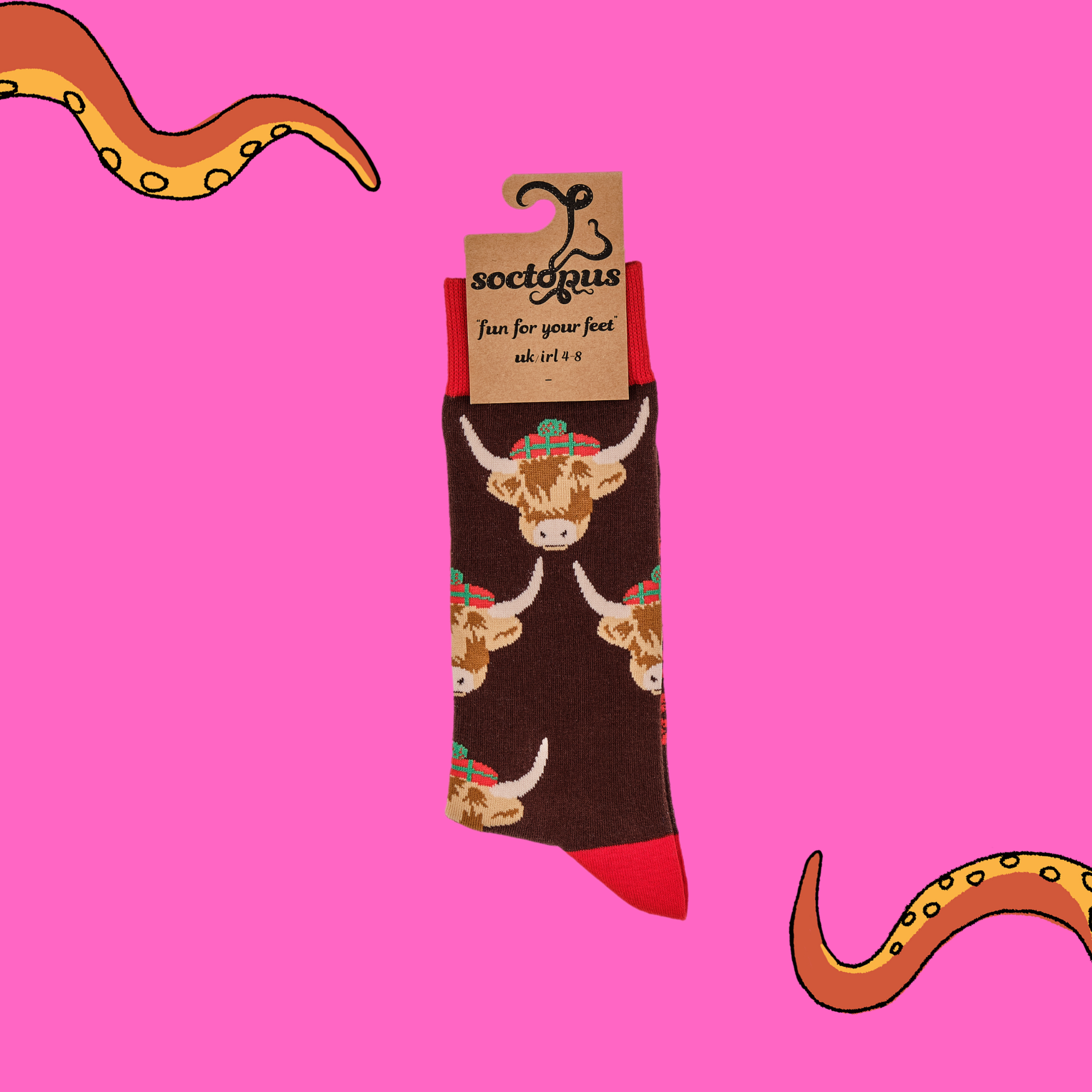 Highland Cow Socks - Scottish Socks - Socktopus