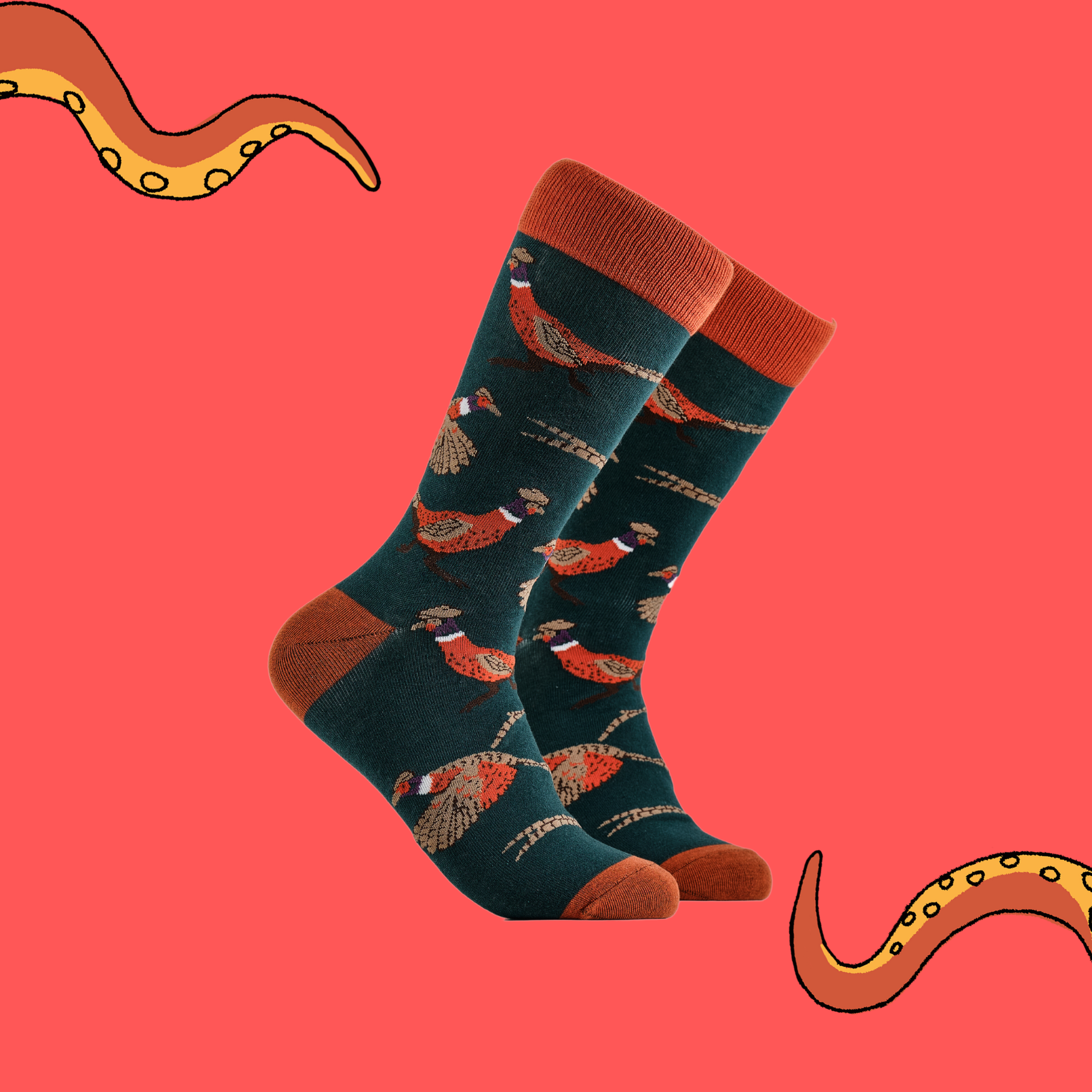 Pheasant Socks - Game Bird - Socktopus