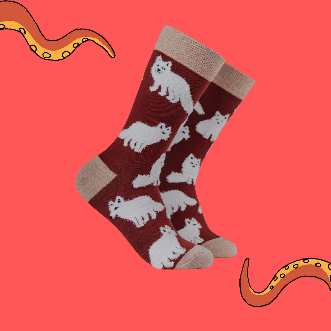 Socktopus - We Sell Socks - Socks for Everyone