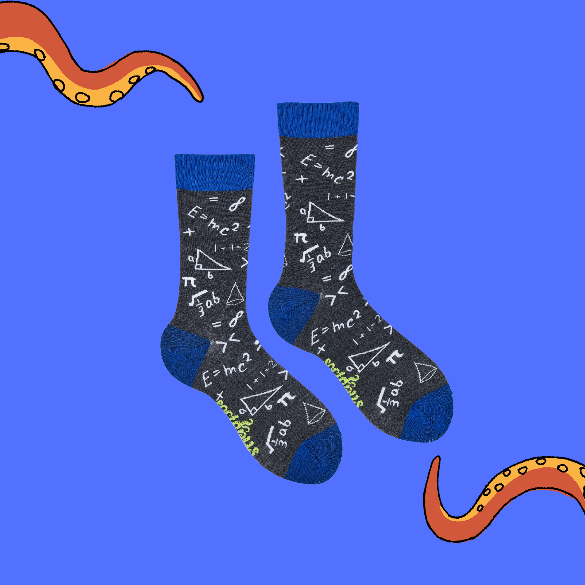 Maths Socks - Do These Add Up? - Socktopus