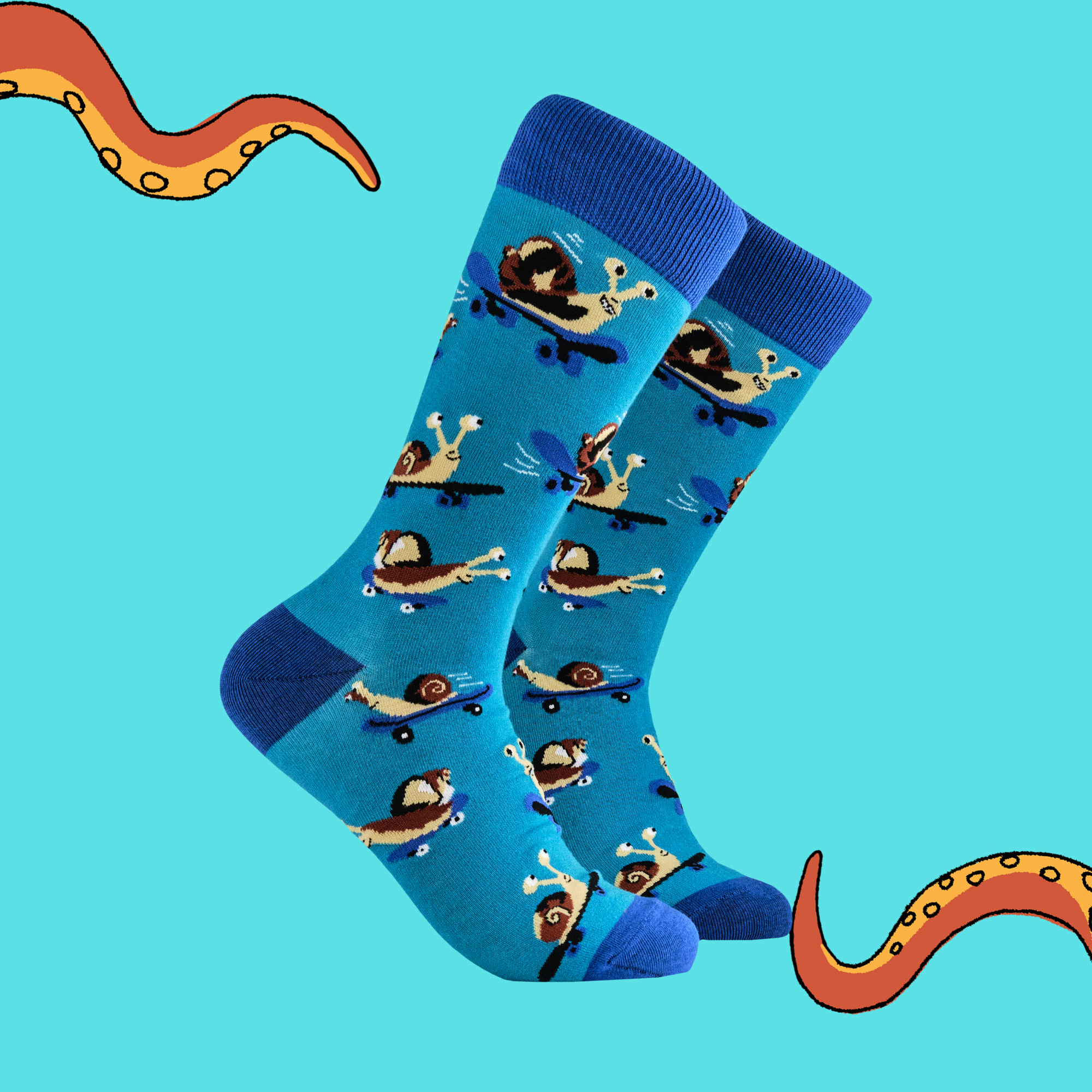 Snail Socks - Snail Boarder - Socktopus - 3 Pairs for £20