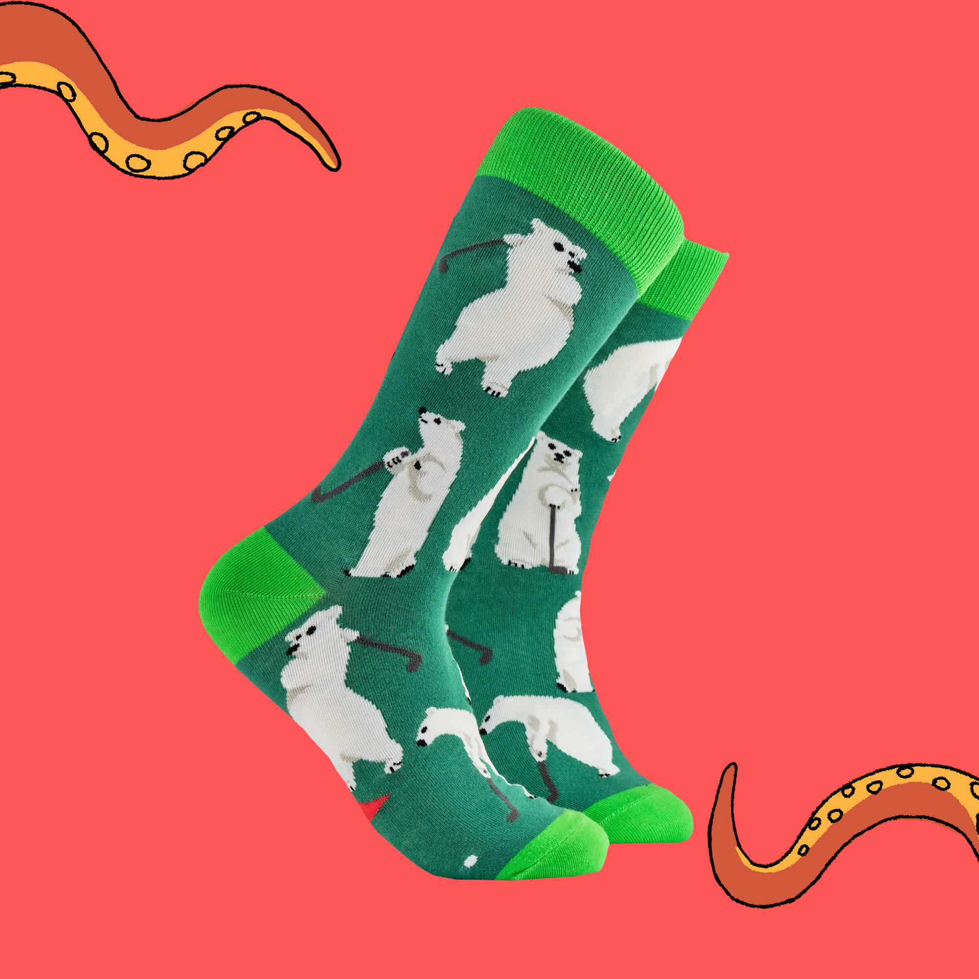 Polar Bear Socks - Golf Bear - Socktopus - 3 Pairs for £20