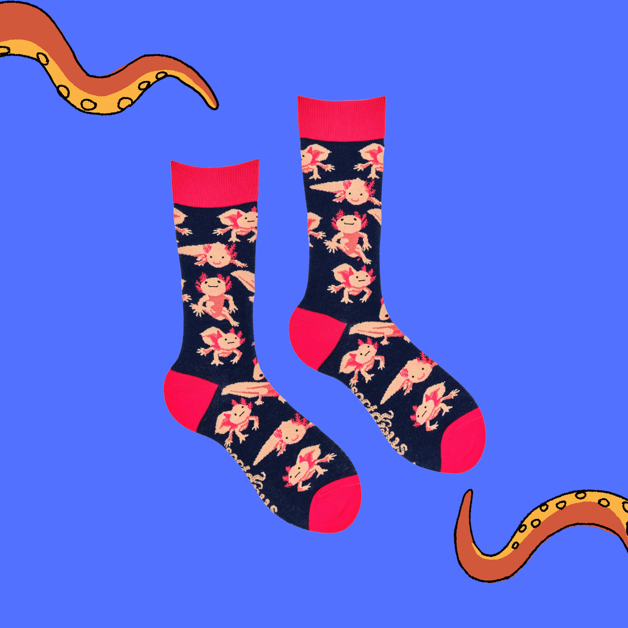 Axolotl Socks - Lottia Axolotl - Socktopus