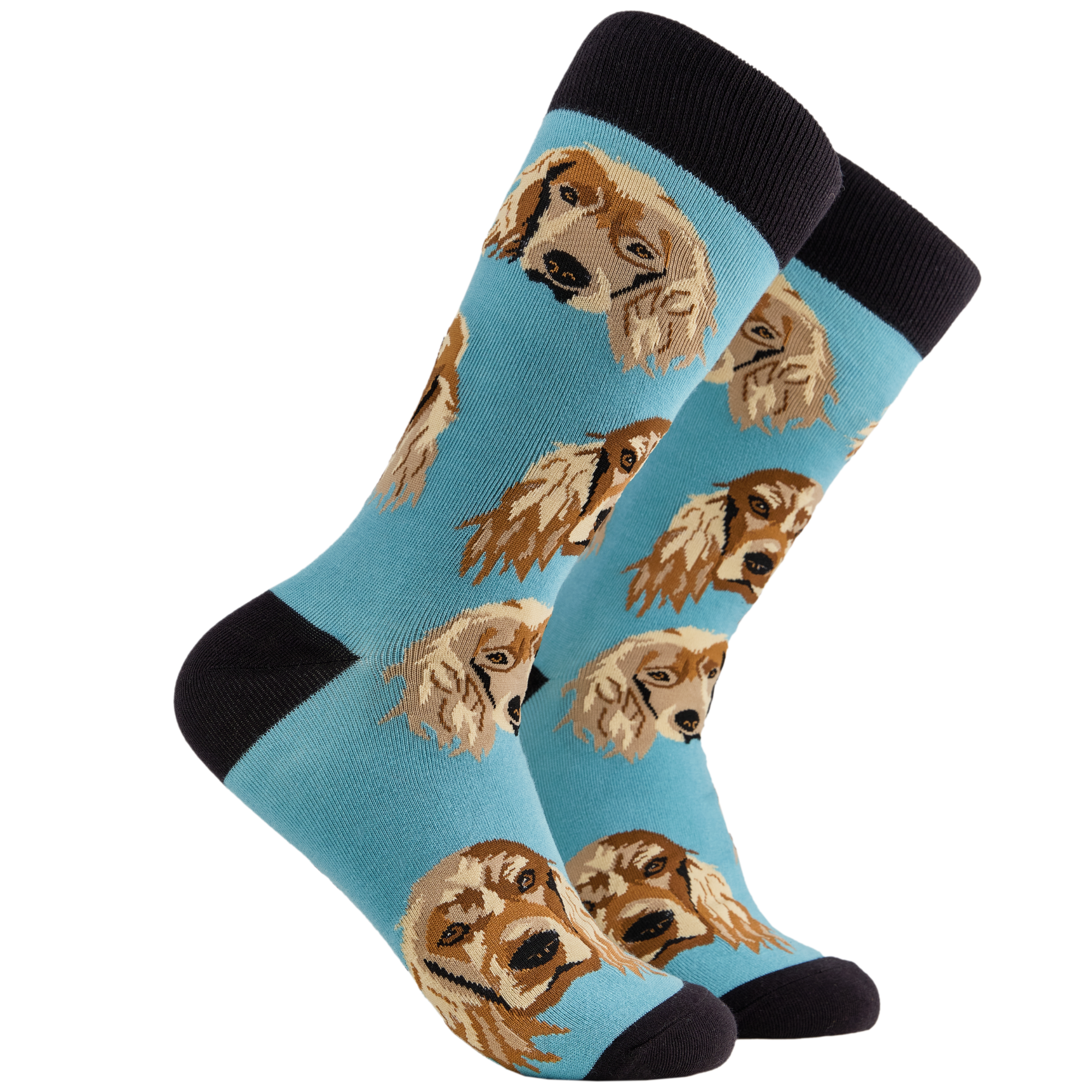Cocker Spaniel Socks - Socktopus